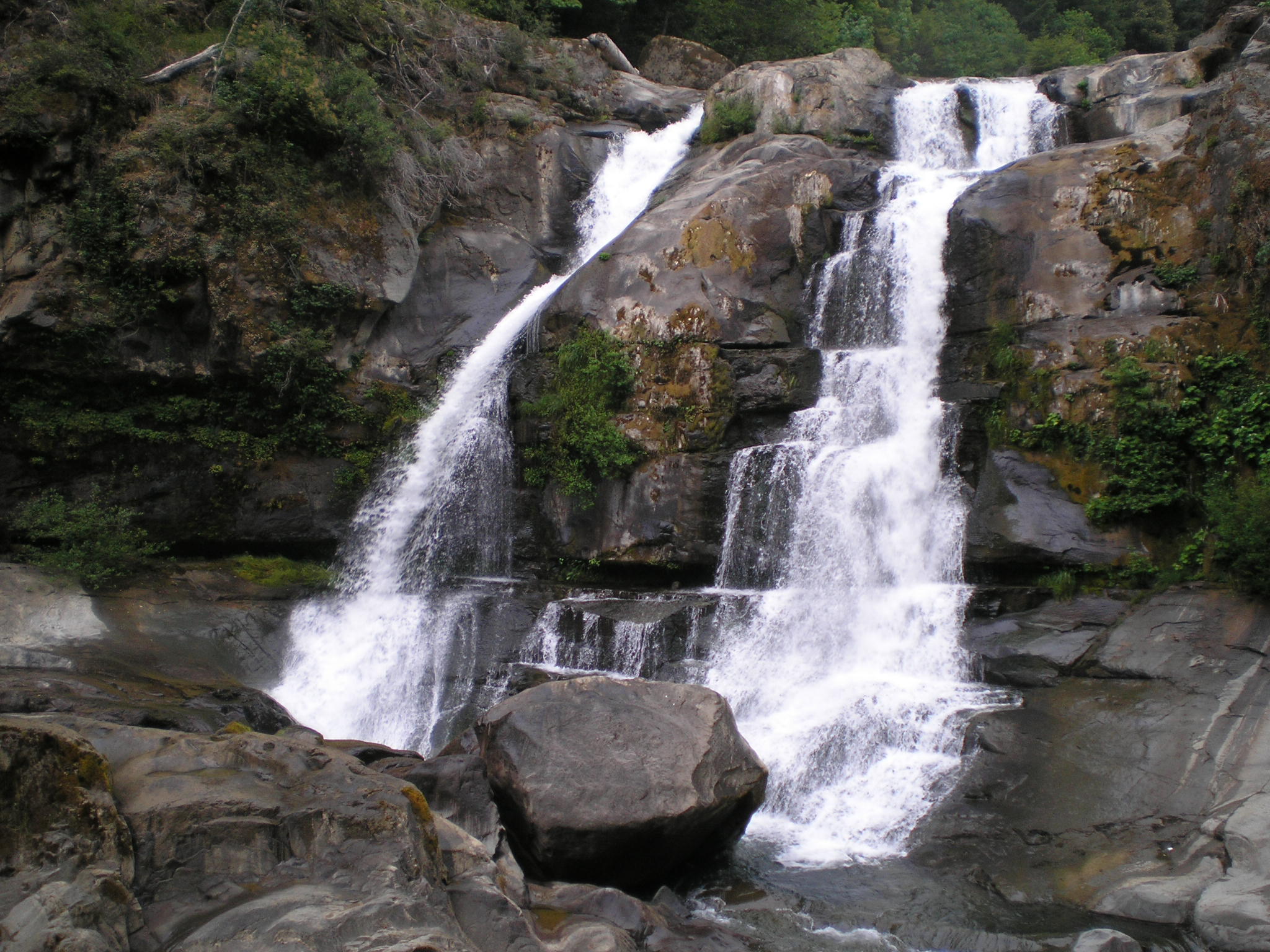South Fork Coquille – Oregon Conservation Strategy