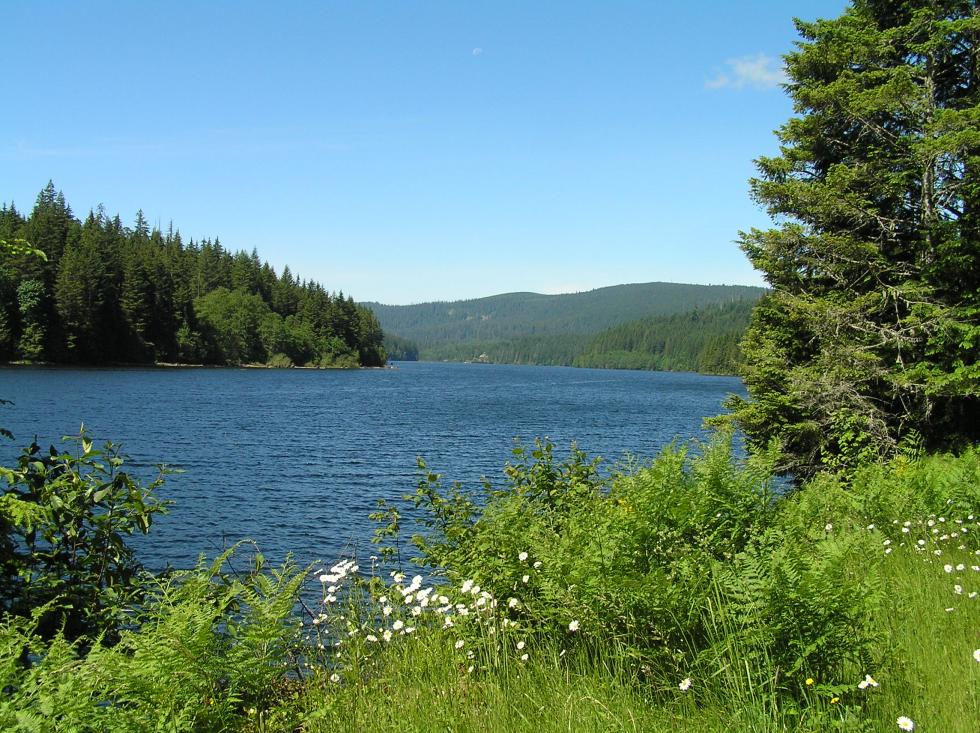 Bull Run-Sandy Rivers – Oregon Conservation Strategy