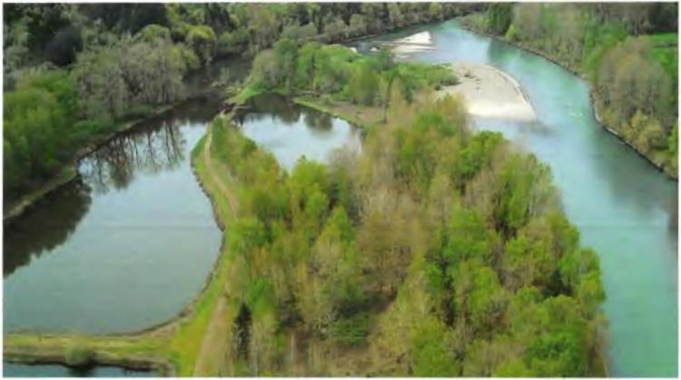 Strategy Spotlight: Willamette River Confluences – Oregon Conservation Strategy