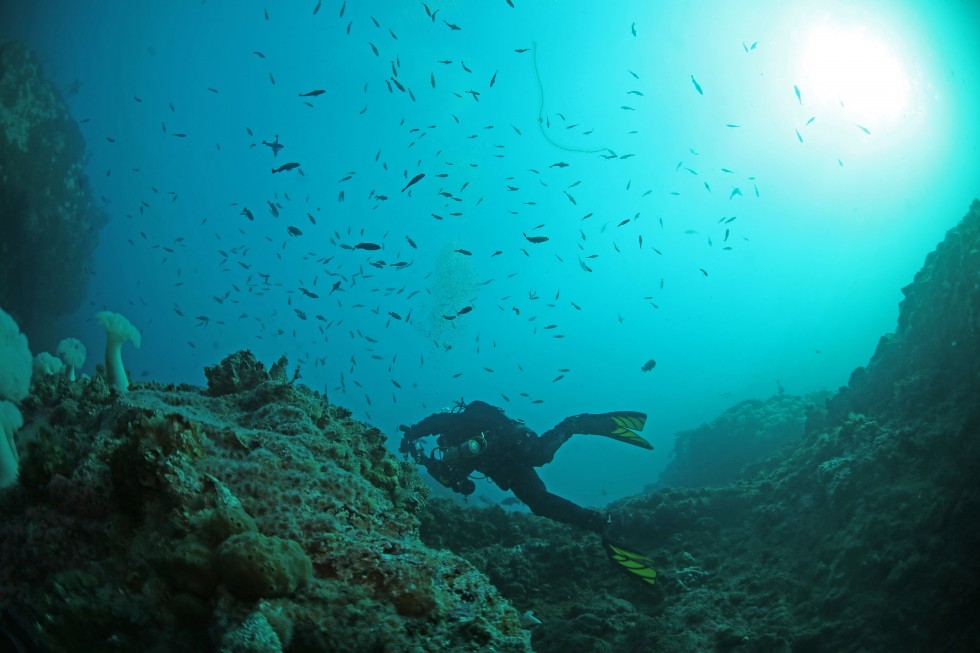 Rocky subtidal – Oregon Conservation Strategy